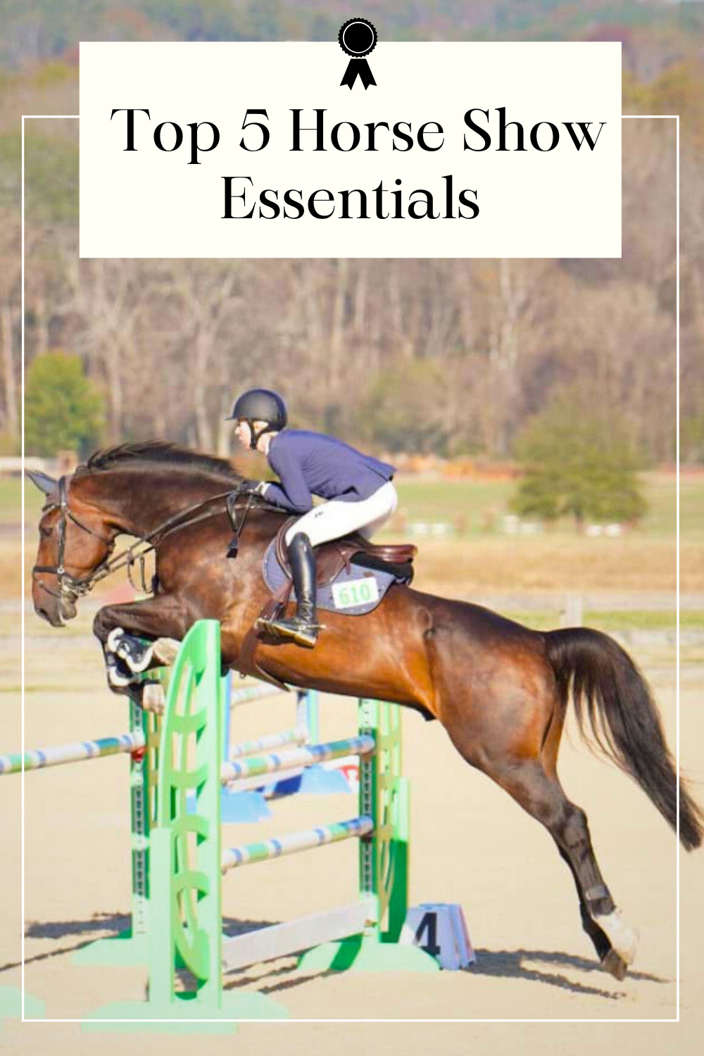 Top 5 Horse Show Essentials