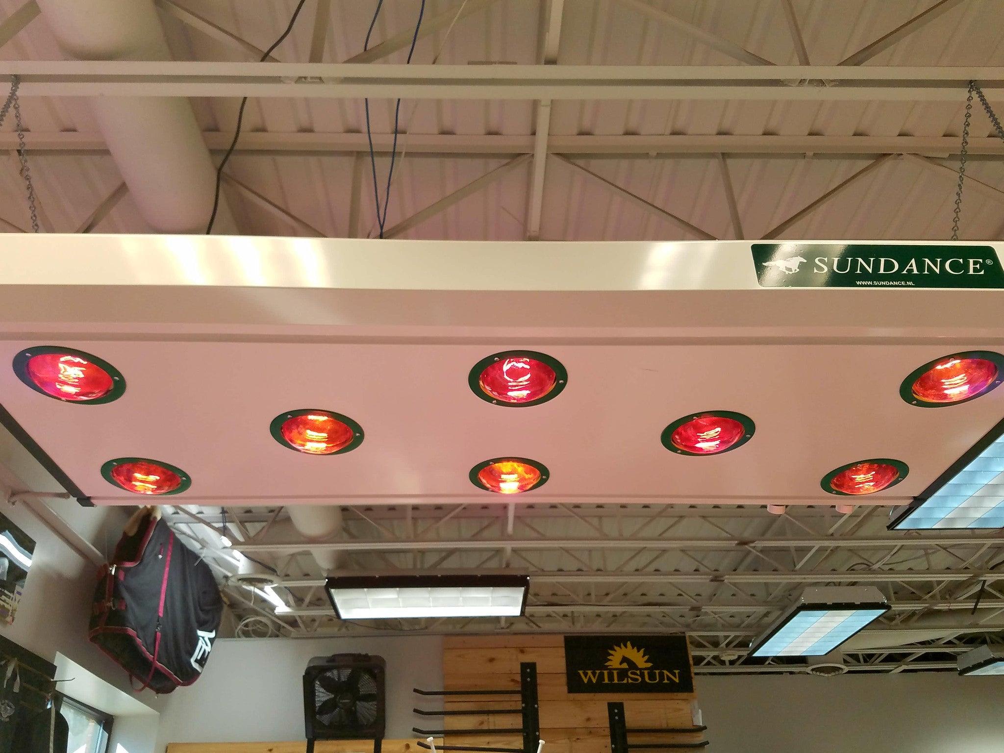 Sundance Horse Solarium