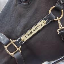 Personalized Brass Halter Plate - | Wilsun