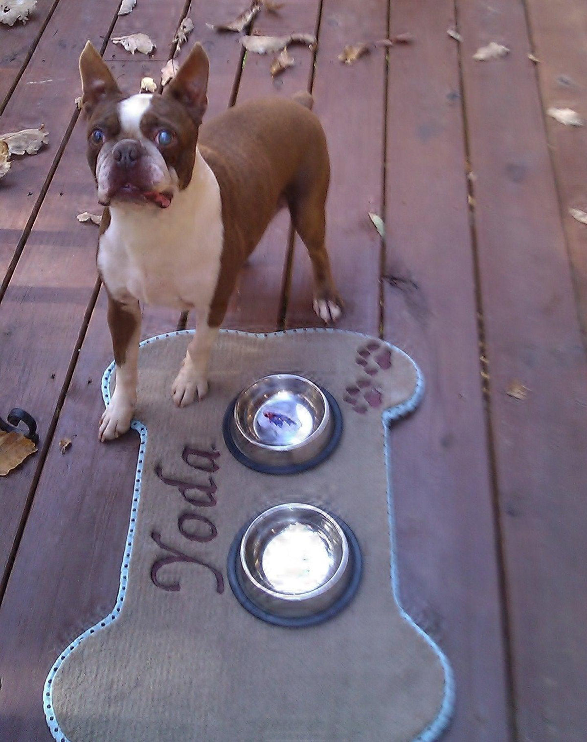 Personalized Bone Shaped Pet Food Mat - | Wilsun